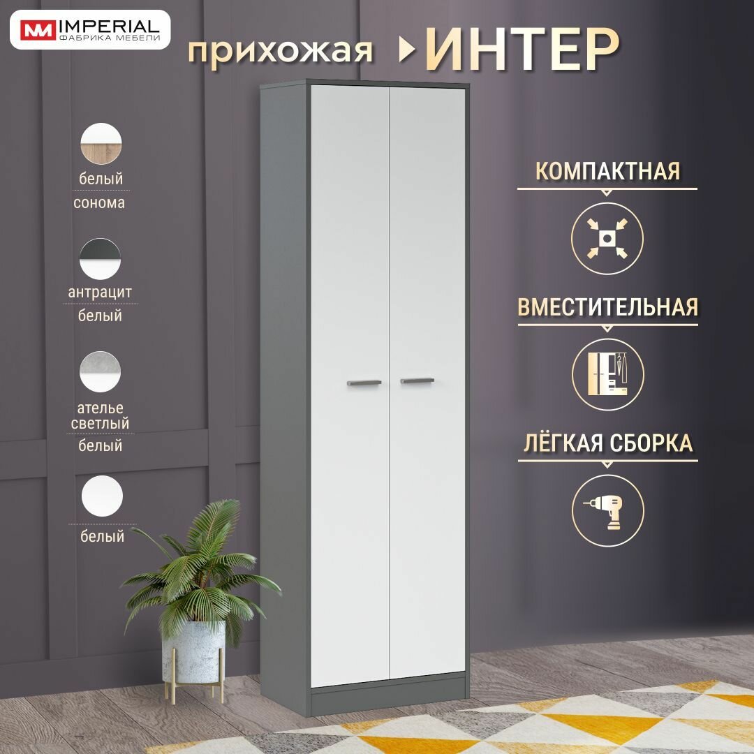 Распашной шкаф для одежды Интер, двухдверный, 56х33х191см, Антрацит/белый