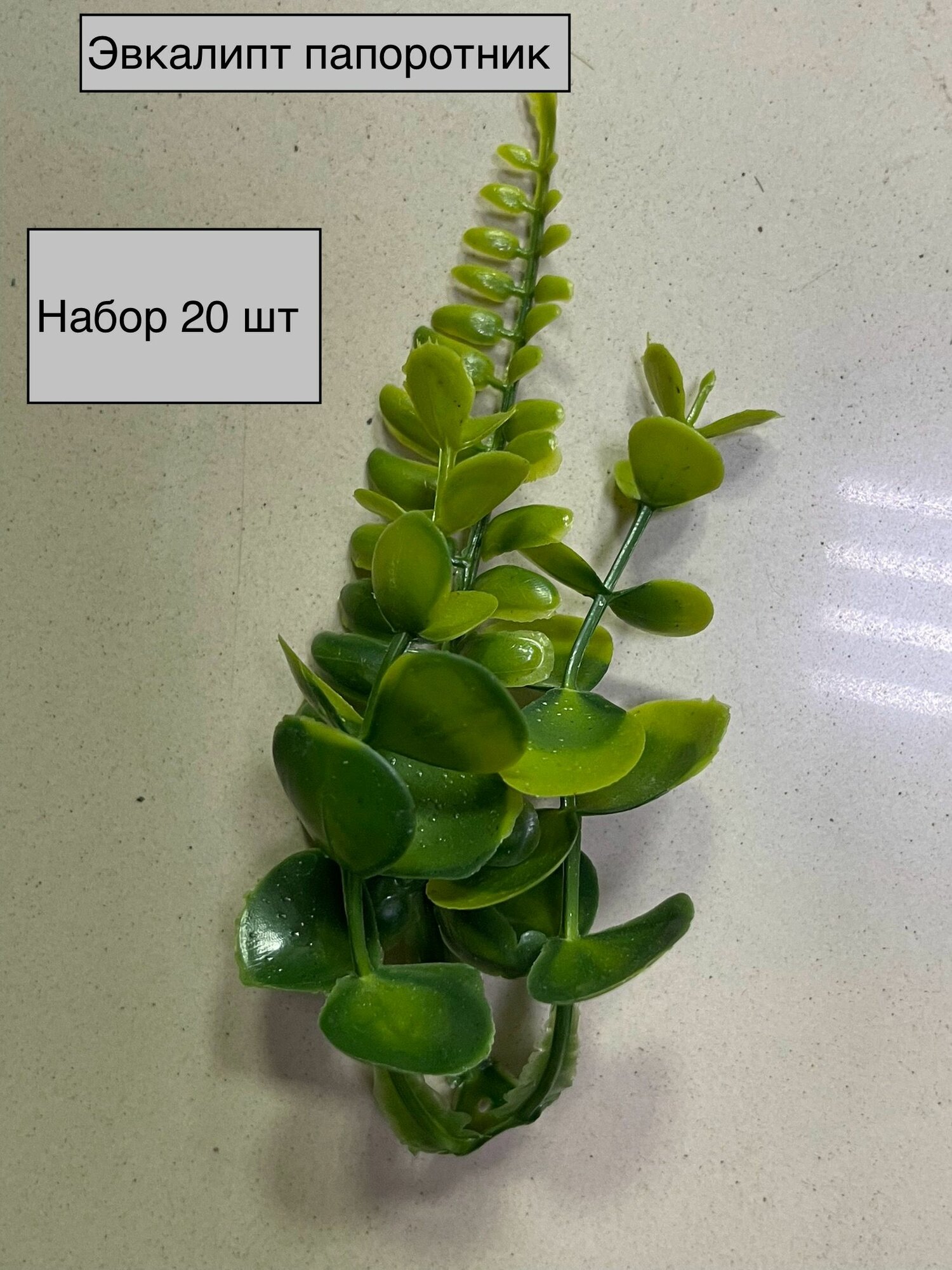 Веточки эвкалипт и папоротник 20 шт