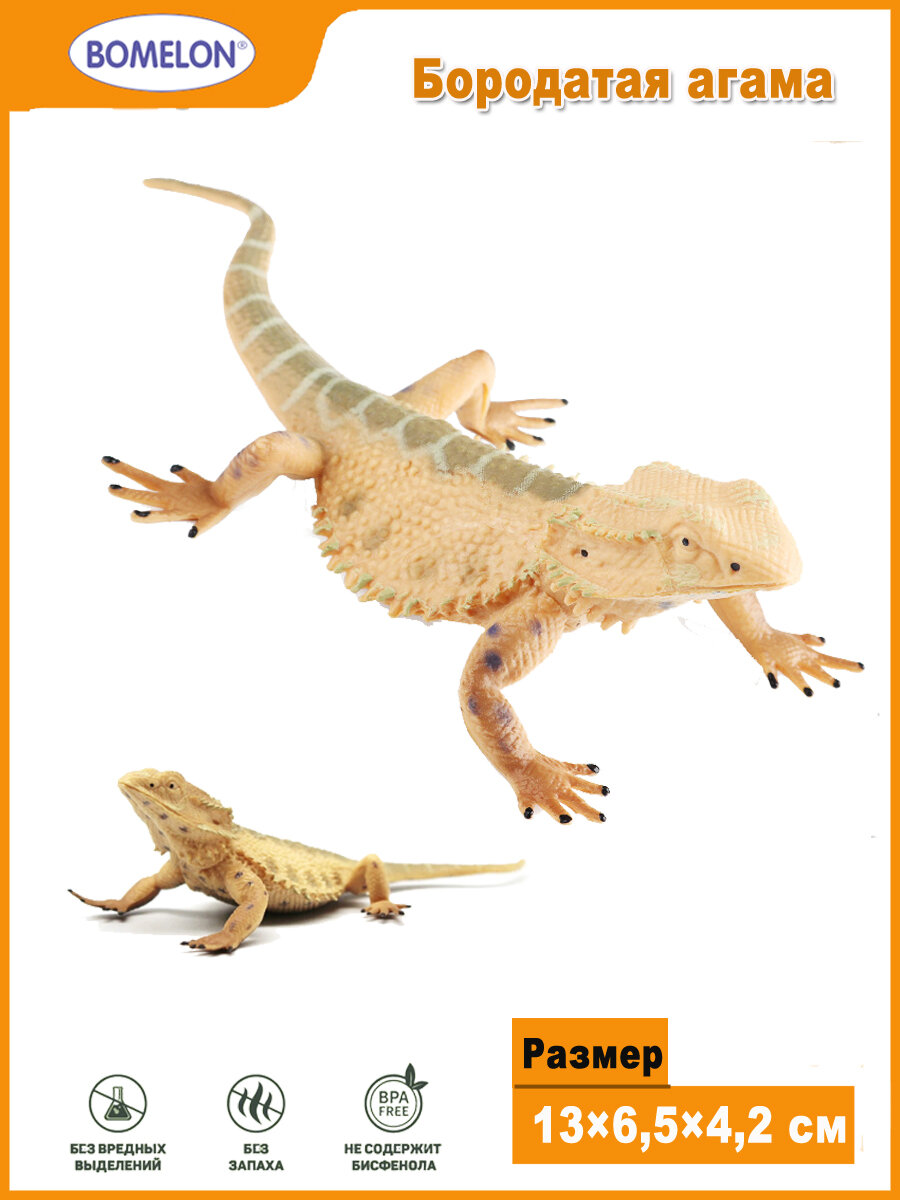 Фигурки животных, Фигурка Бородатая агама 13 см, Домашняя рептилия, развивающие игрушки для детей