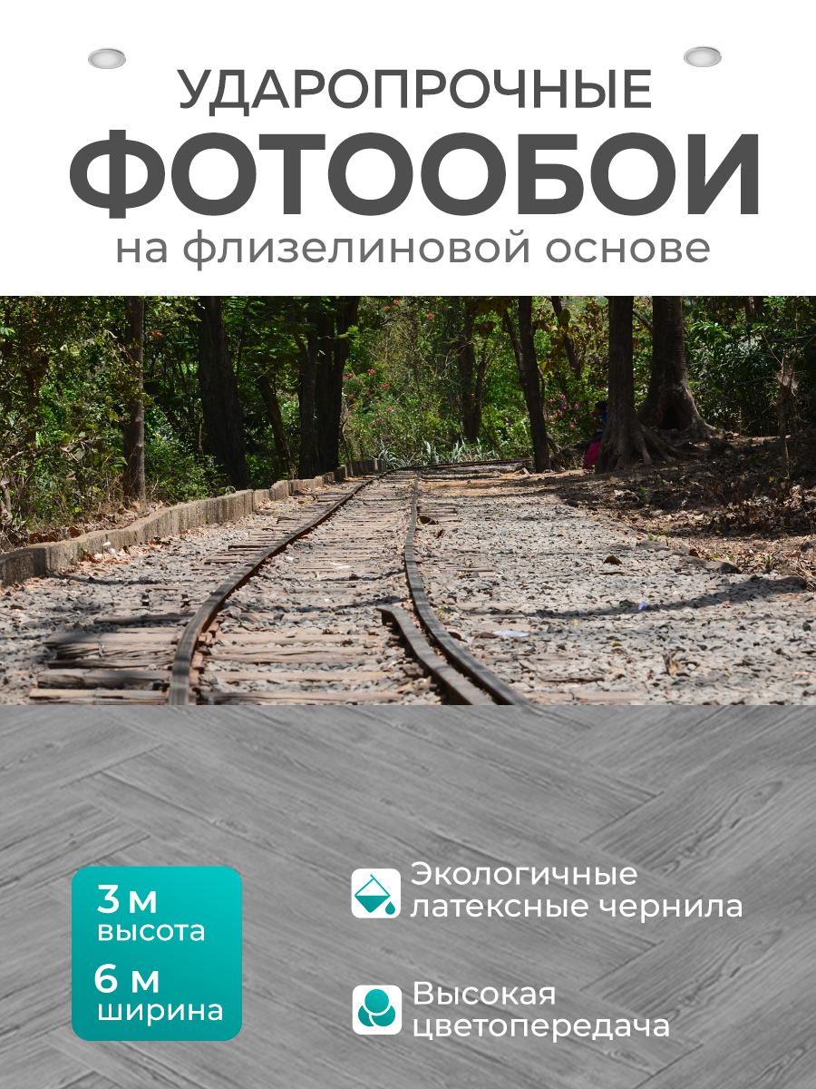 Фотообои моющиеся ударопрочные "Треки, рельсы железные дороги, старый" 600x300 см. флизелиновые на стену