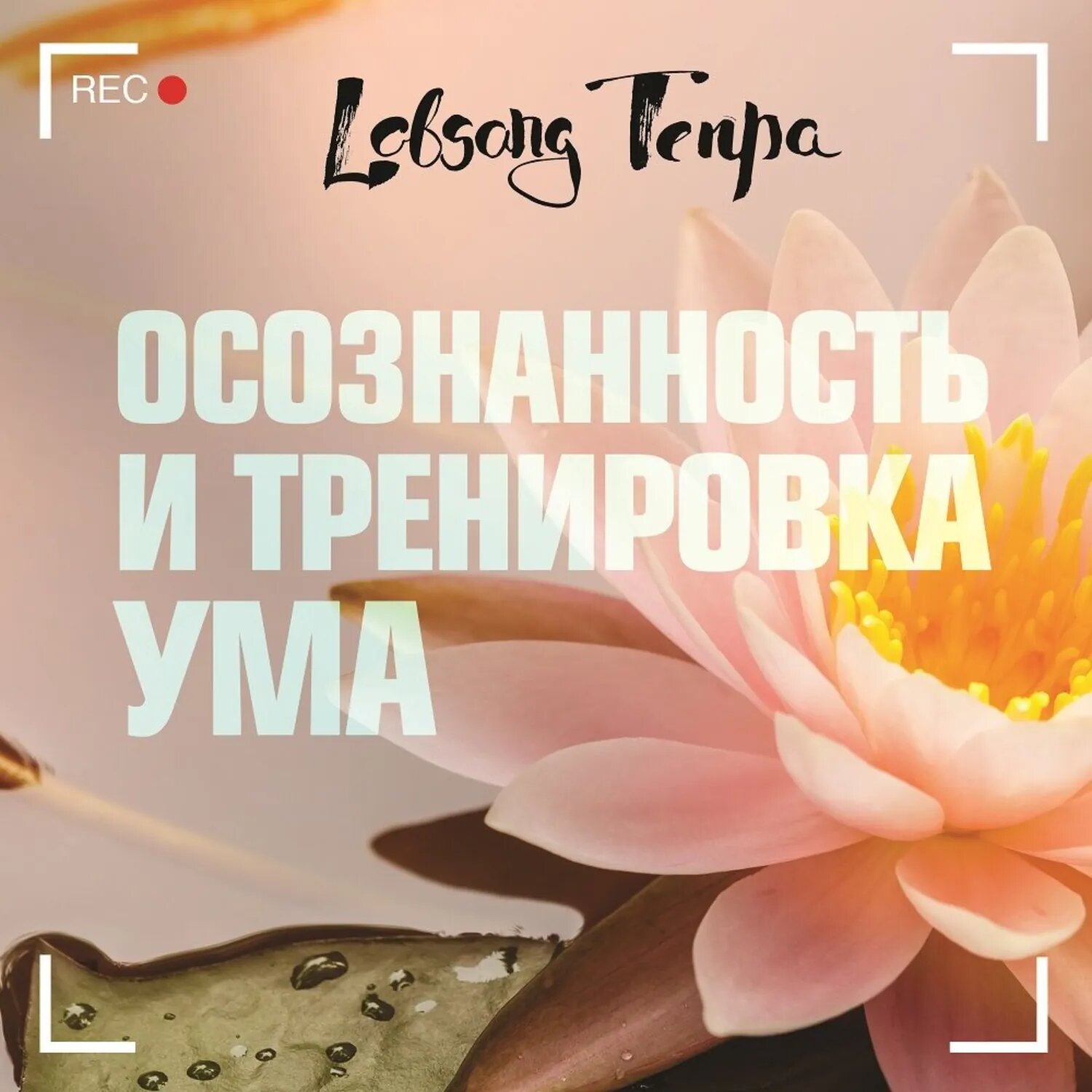 Осознанность и тренировка ума [Аудиокнига]