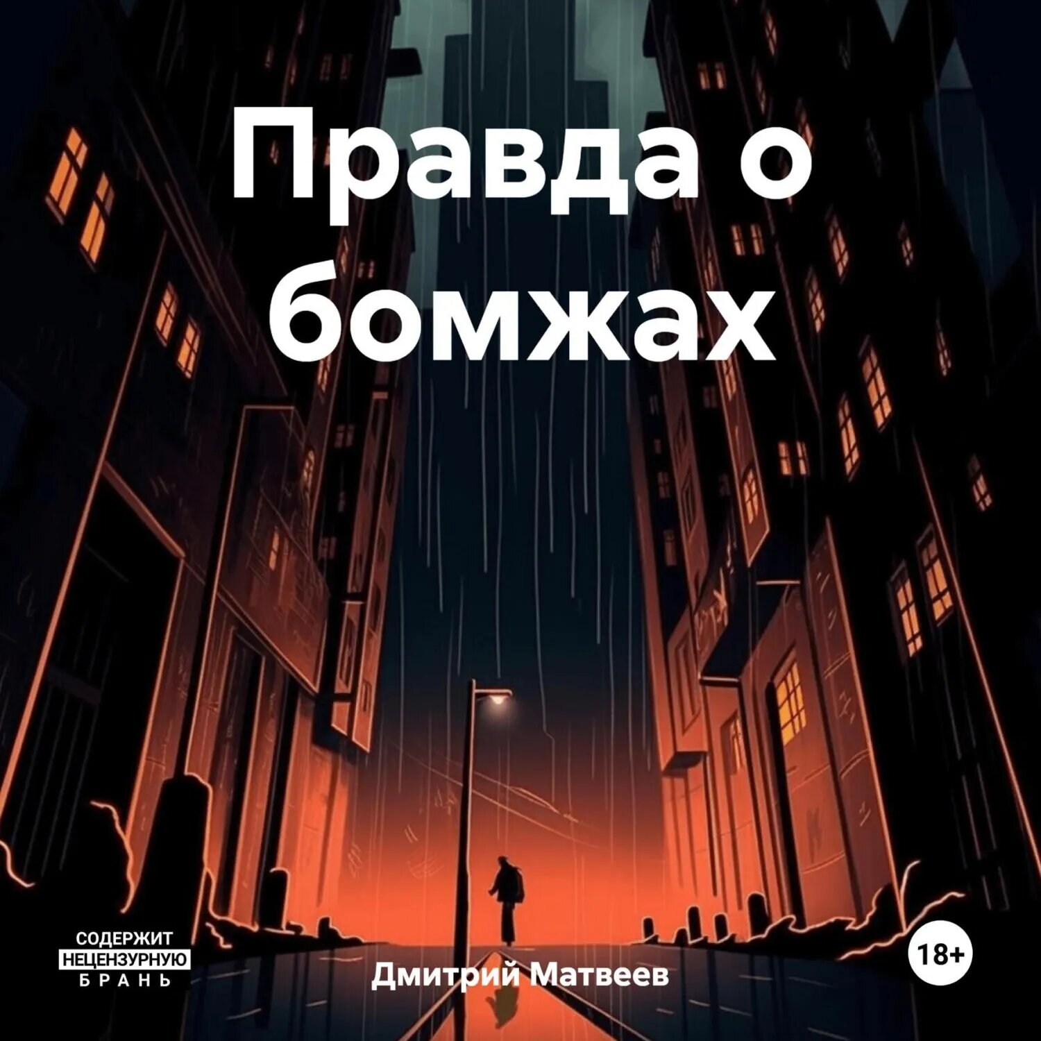Правда о бомжах [Аудиокнига]
