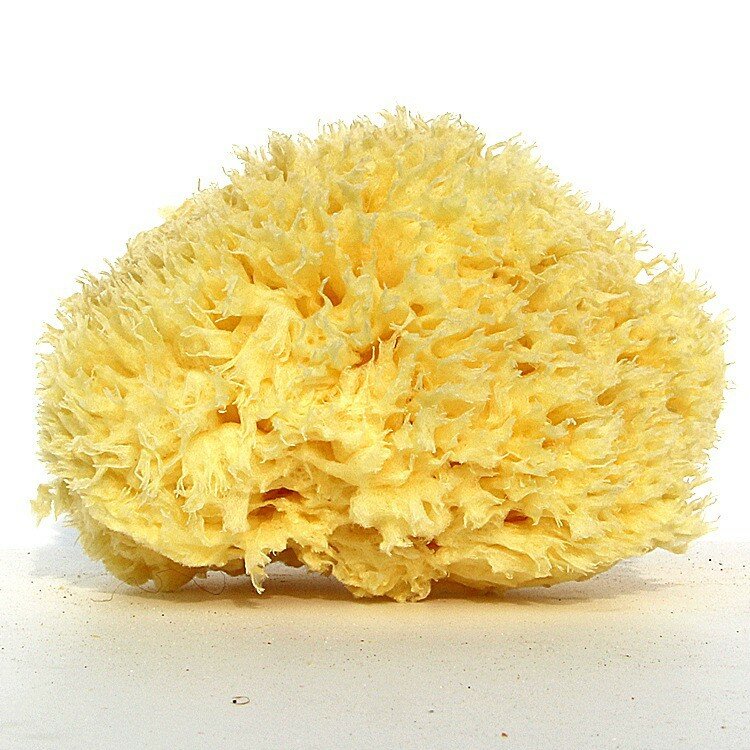 Натуральная греческая губка для умывания в виде сот, мягкая, удобная, впитывающая губка для ванны для взрослых