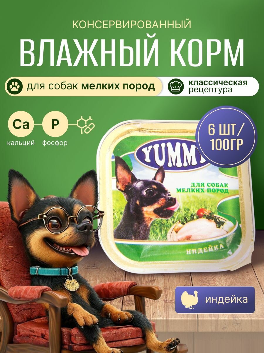 Yummy Влажный корм для собак мелких пород, с индейкой, 100 гр. * 6 шт.