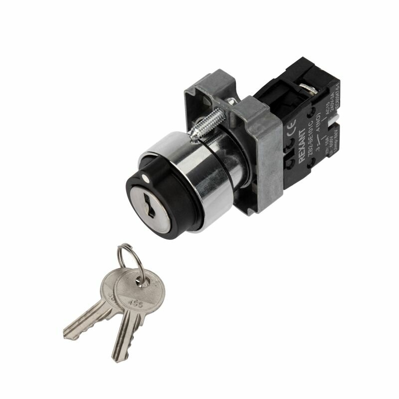 Переключатель REXANT BD21 2P с замком NO 36-5552