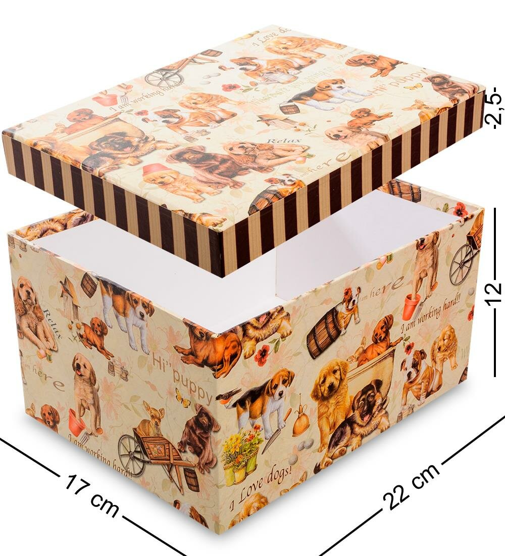 Коробка Прямоугольник мал. WA-31-1/10 Packing Symphony Финляндия Картон, бумага