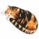 Коврик для двери с котом 3D