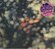 Компакт-диск Pink Floyd - Obscured By Clouds (Remastered) (1 CD)