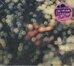 Компакт-диск Pink Floyd - Obscured By Clouds (Remastered) (1 CD)