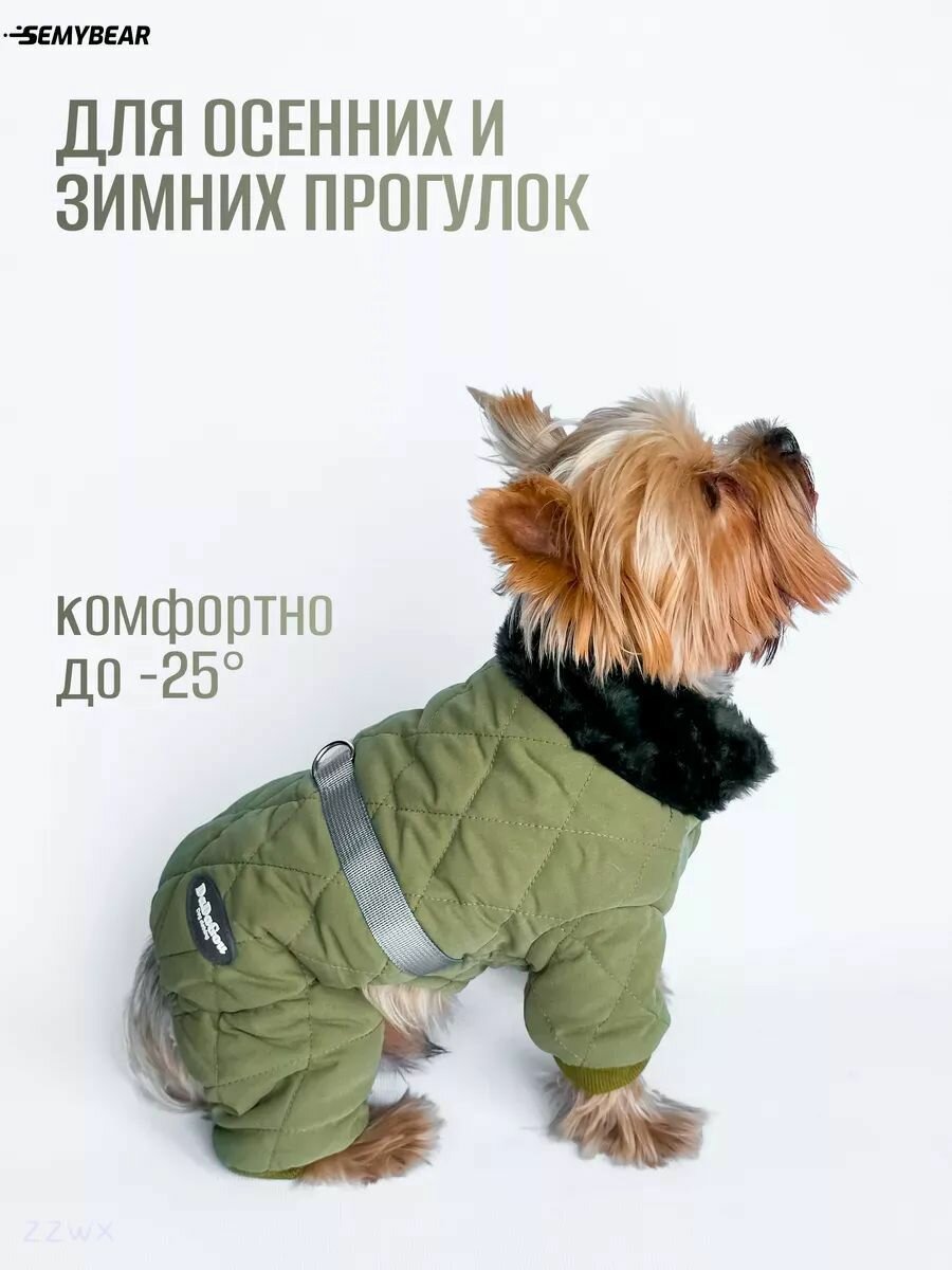Одежда для животных — фото 1