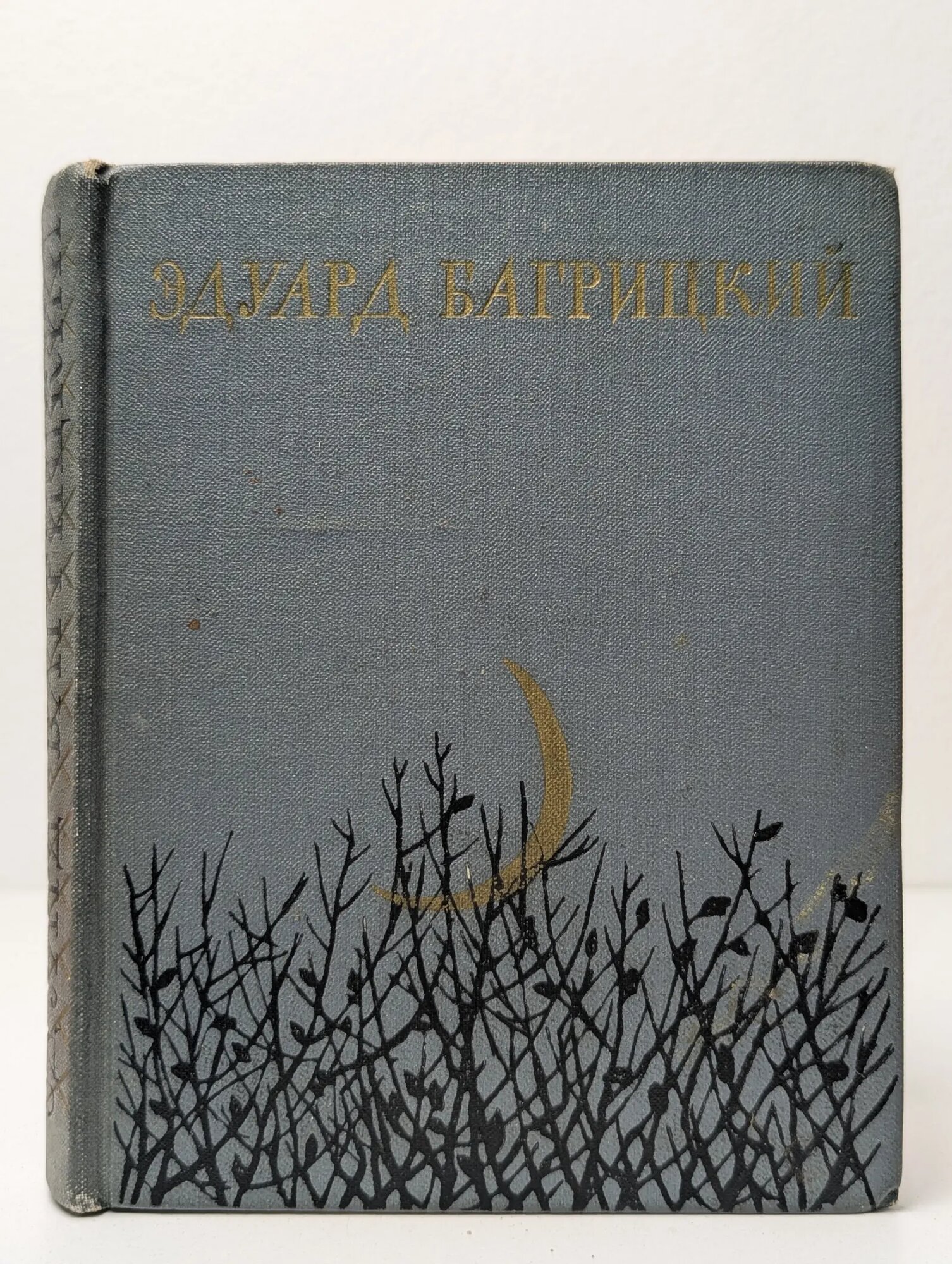 Эдуард Багрицкий. Стихи и поэмы Багрицкий Эдуард Георгиевич 1956