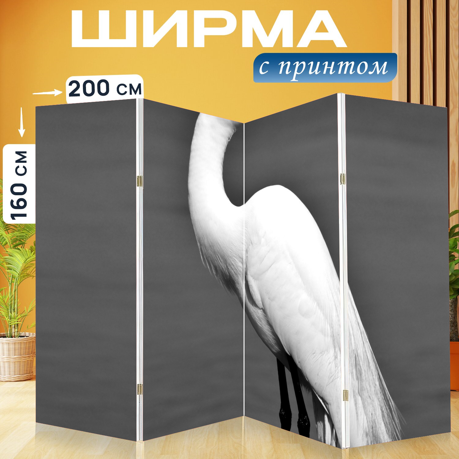 Ширма "Белая цапля в дикой природе Белая цапля в дикой природе на болоте Флориды, США белая цапля дикая." перегородка для зонирования комнаты с принтом 200x160 см. на холсте
