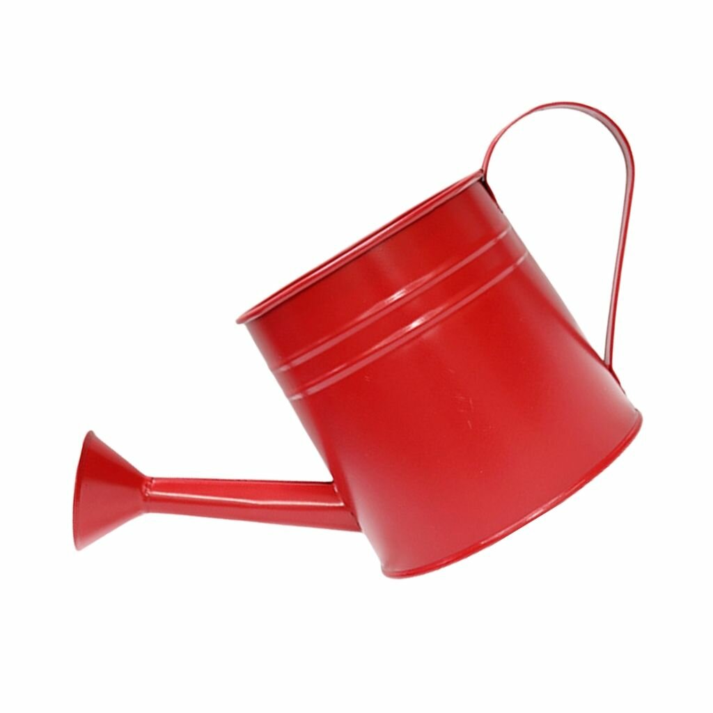 Многофункциональная железная лейка, цветочные горшки, элегантные металлические контейнеры для растений для домашнего декора и садоводства