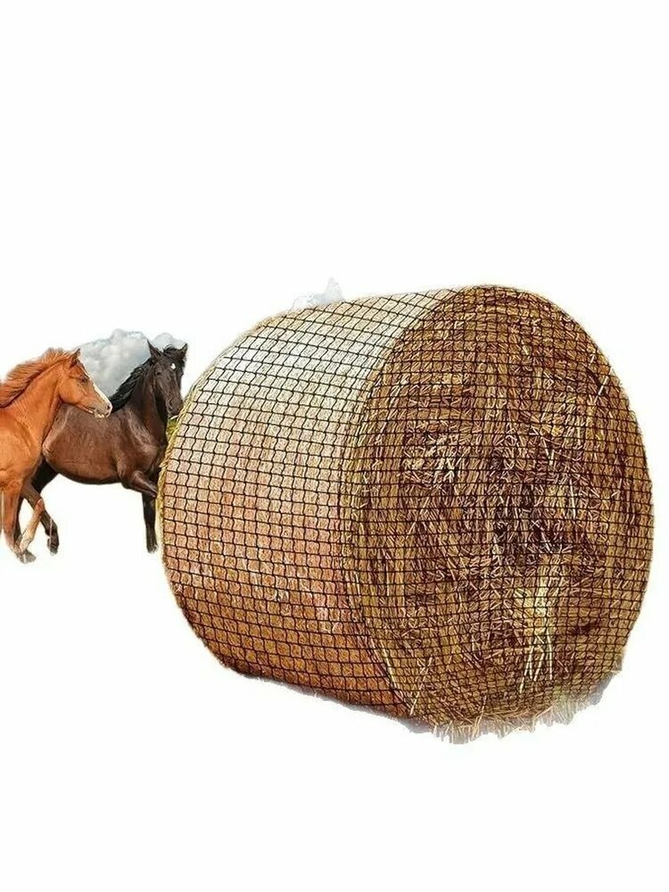 Коровы, овцы, верблюды, медленные кормушки, лошадиные мешки.