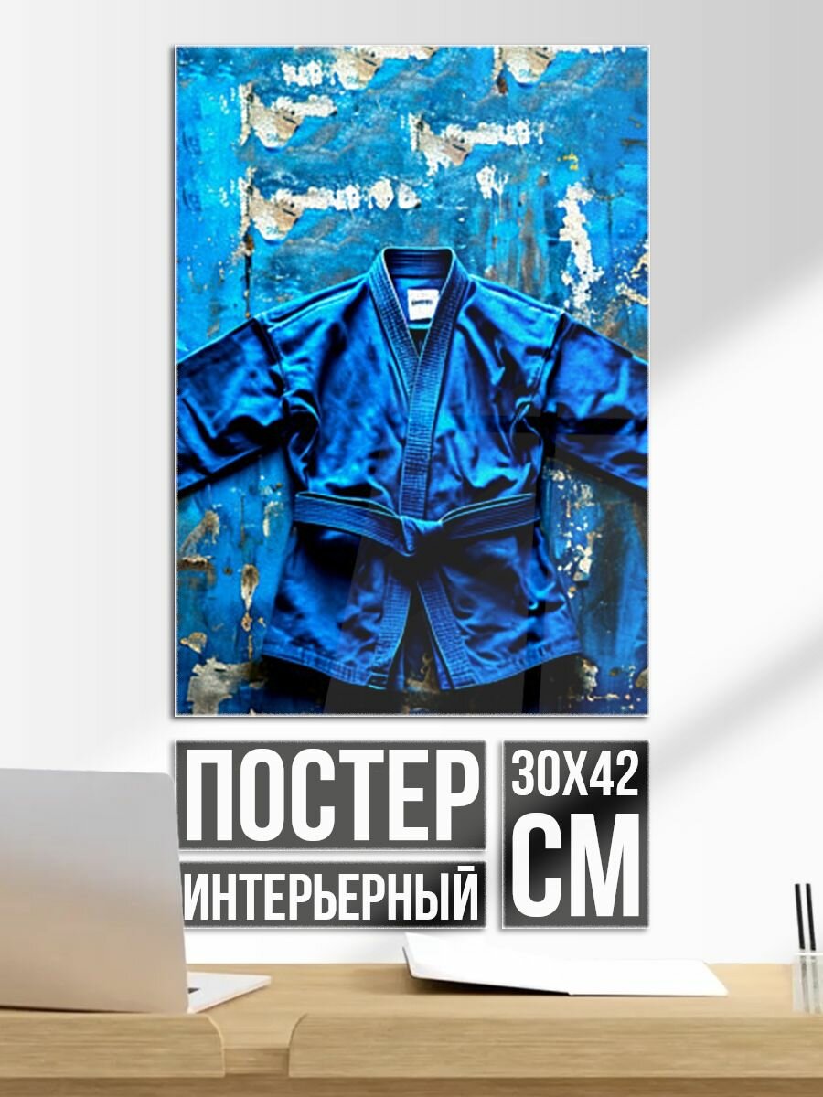 Постер на стену Синее кимано для самбо