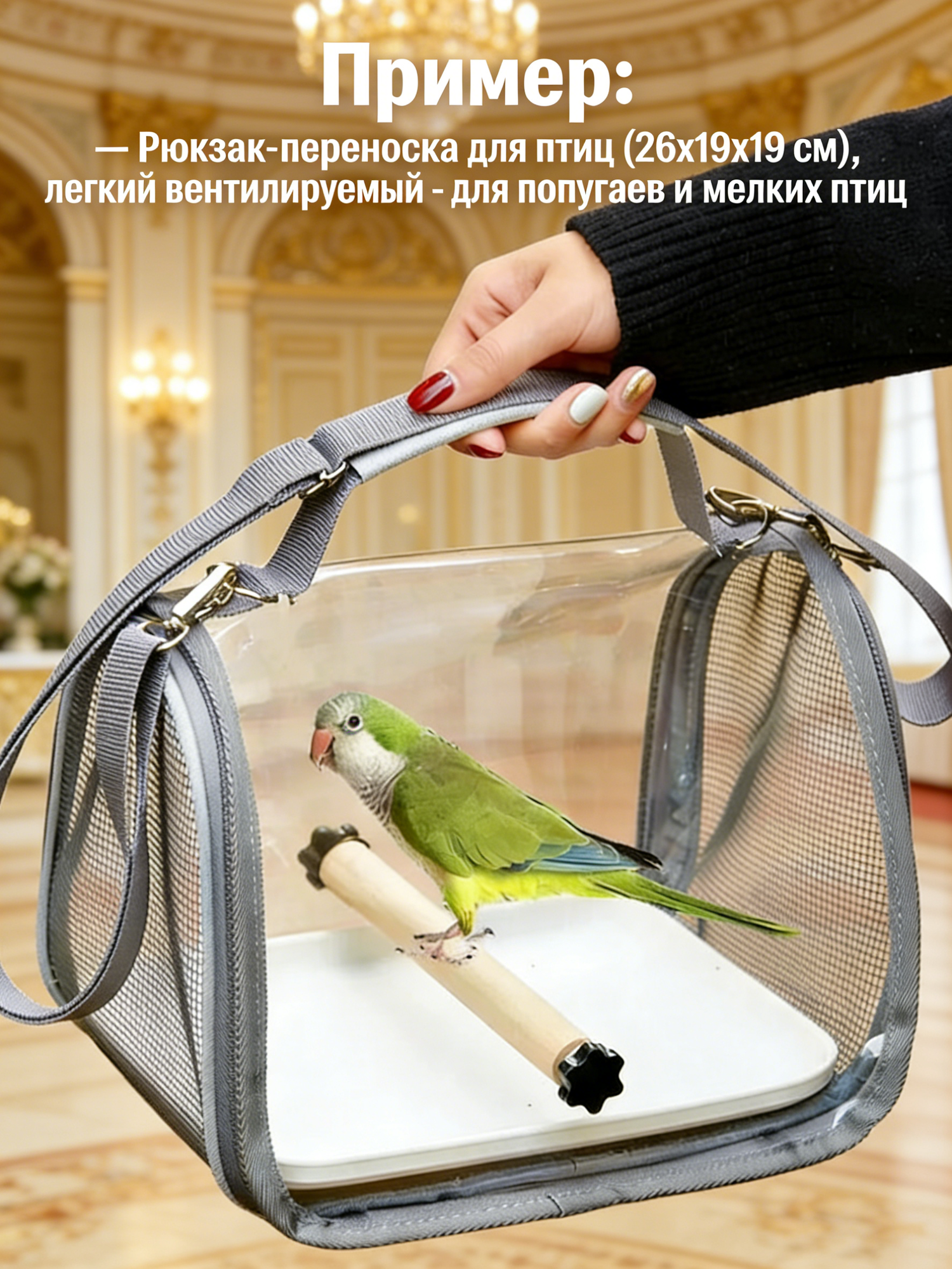 Пример: Рюкзак-переноска для птиц (26x19x19 см), легкий вентилируемый - для попугаев и мелких птиц