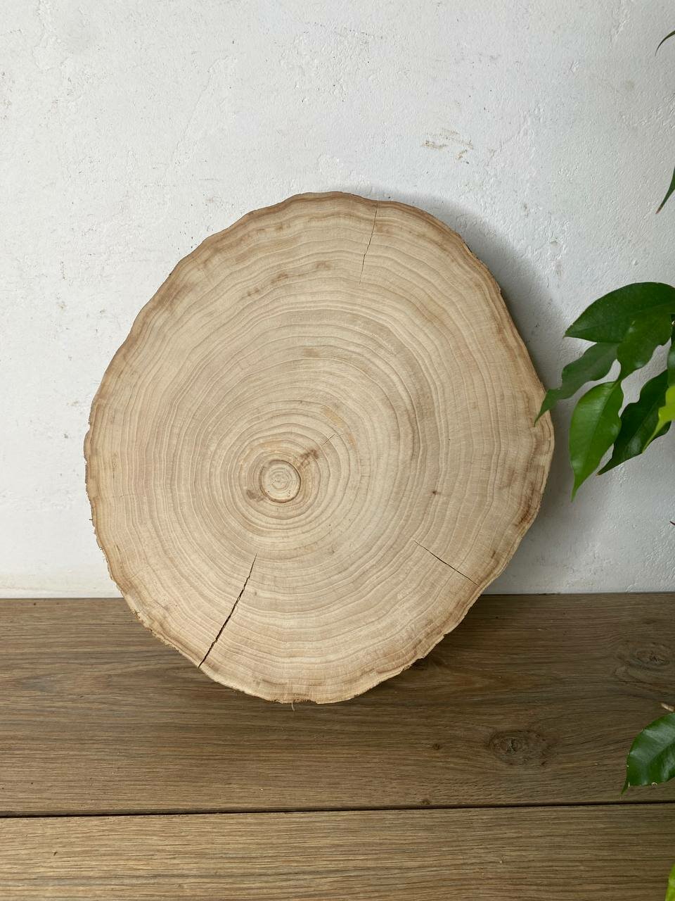 Спил Карагач . Габаритные размеры 30х26,5х5,5 см. Шлифованный с двух сторон, арт г549