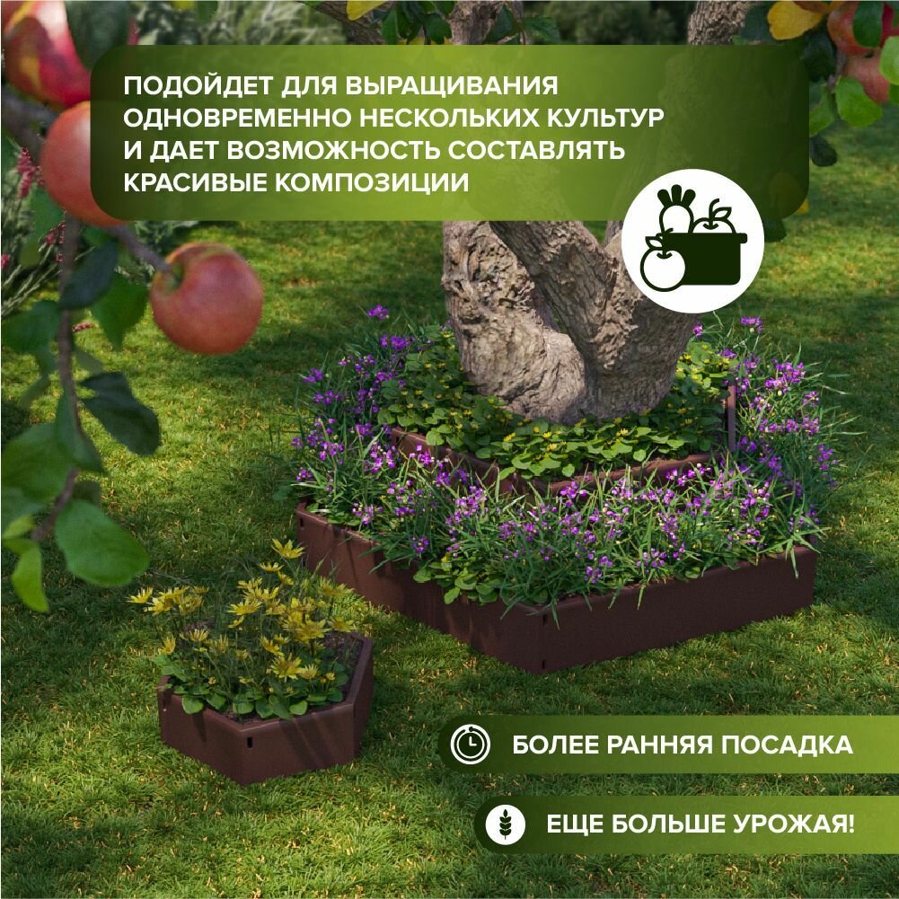 Клумба — фото 1