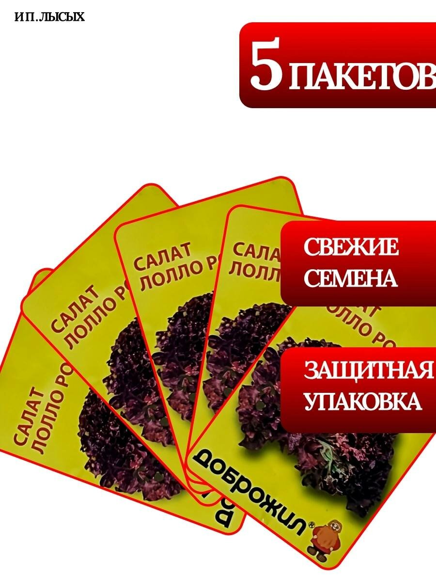 Семена Салат "Лолла Росса"