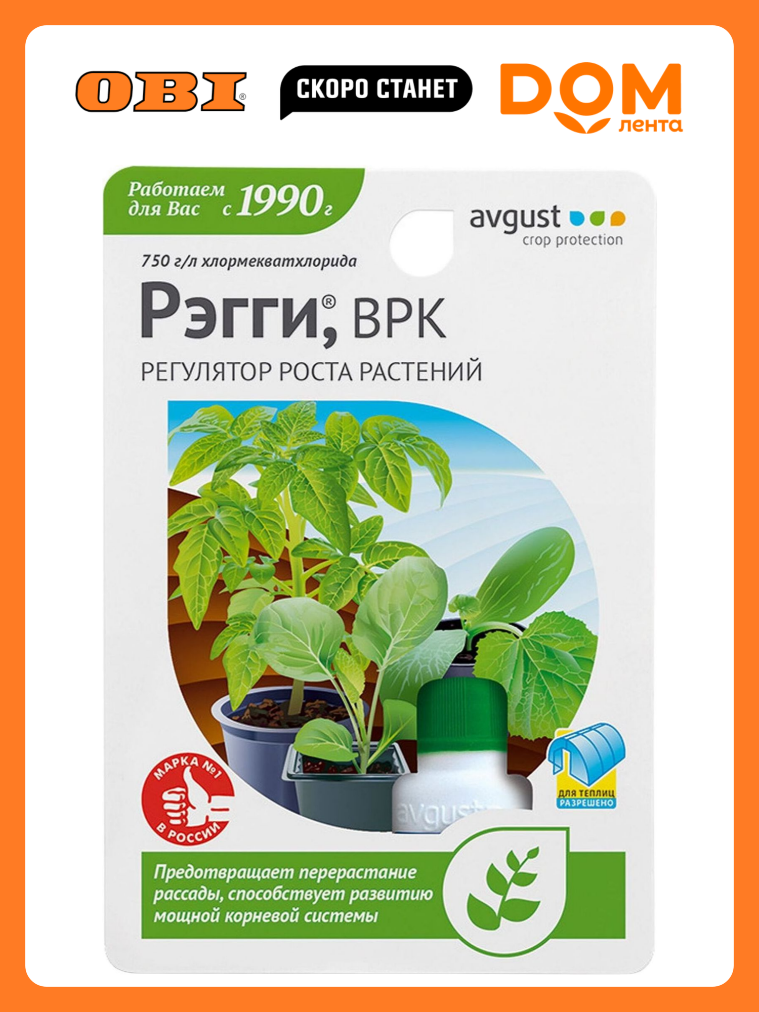 Стимулятор роста Avgust "Рэгги", для зерновых, 10 г, регулятор роста