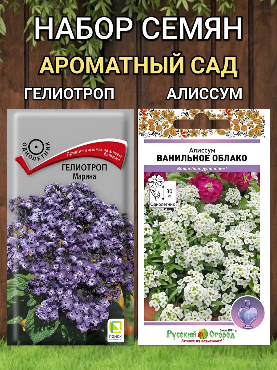 Семена цветов, Гелиотроп Марина и Алиссум Ванильное облако, Ароматный сад