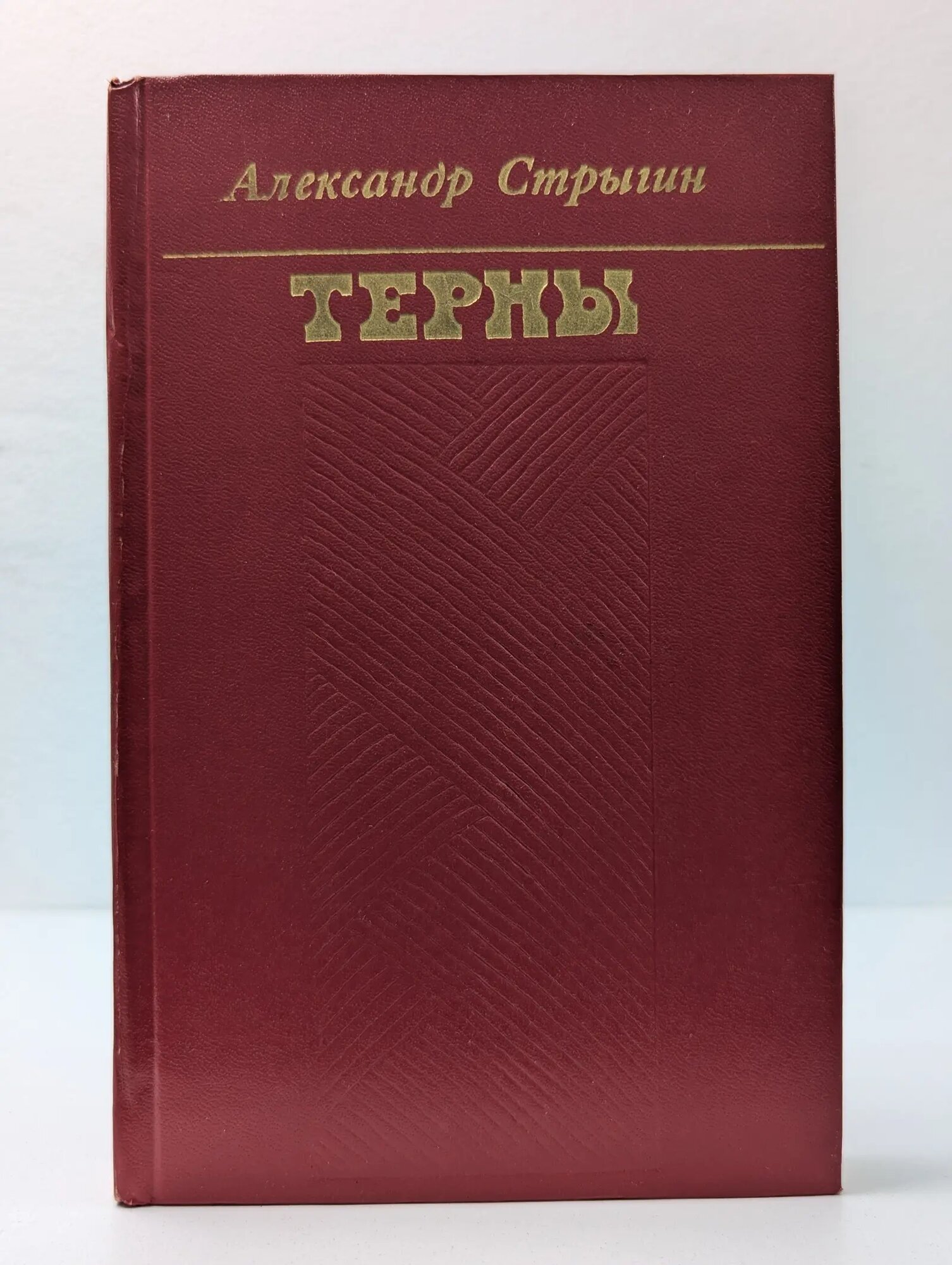 Терны Стрыгин Александр Васильевич 1979