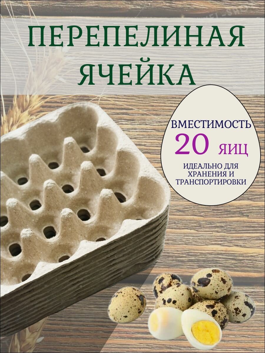 Коробка (ячейка) для перепелиных яиц на 20 шт, комплект 10 лотков