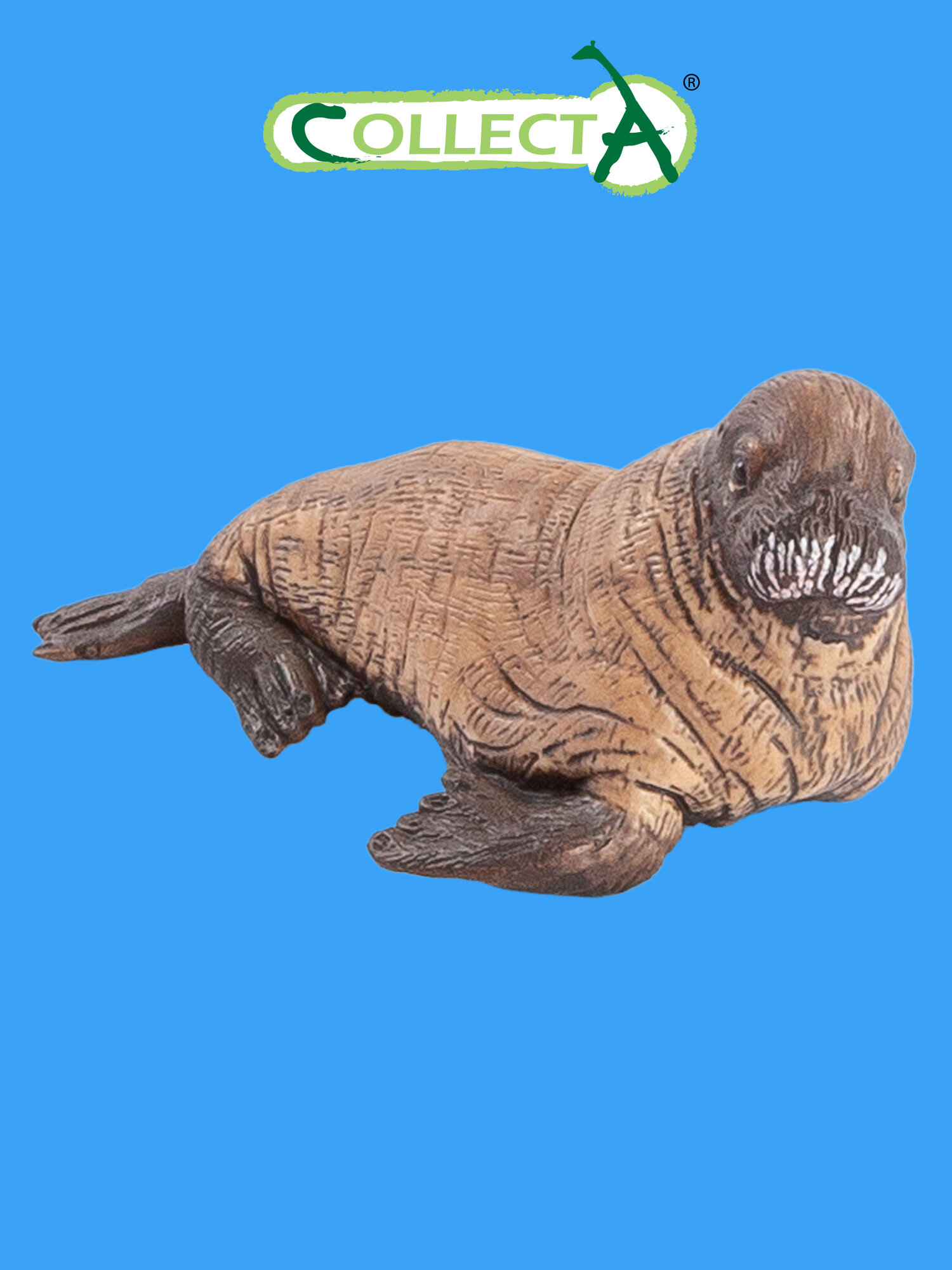 Фигурка животного Collecta "Детёныш моржа", высота 3,5 см, 88570b