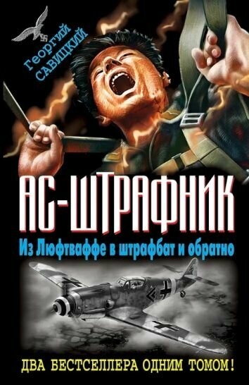 Ас-штрафник. Из Люфтваффе в штрафбат и обратно