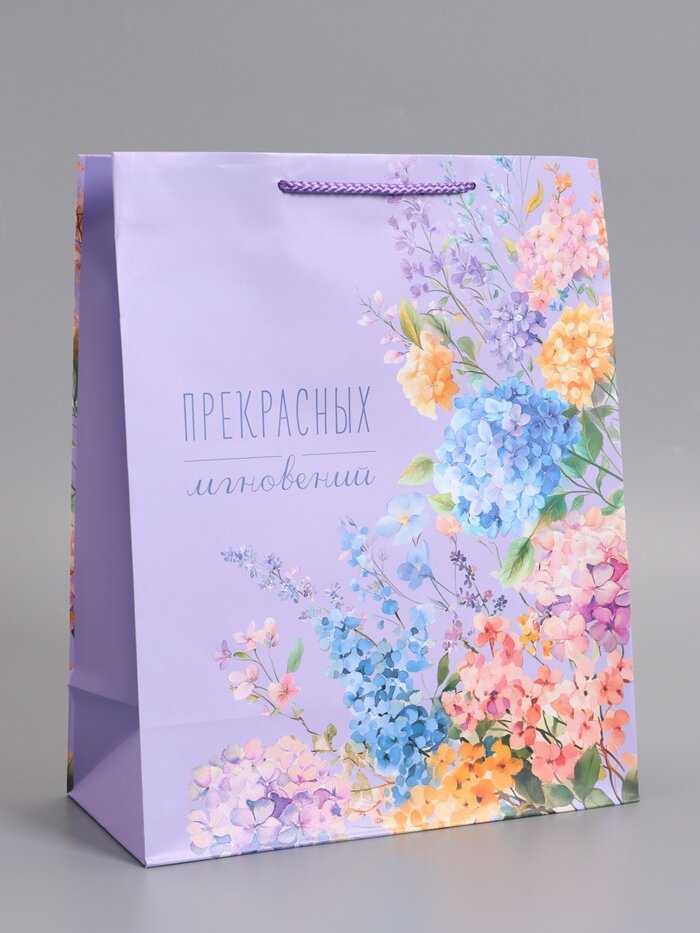 Пакет подарочный ламинированный «Прекрасных мгновений», 26×12×32 см