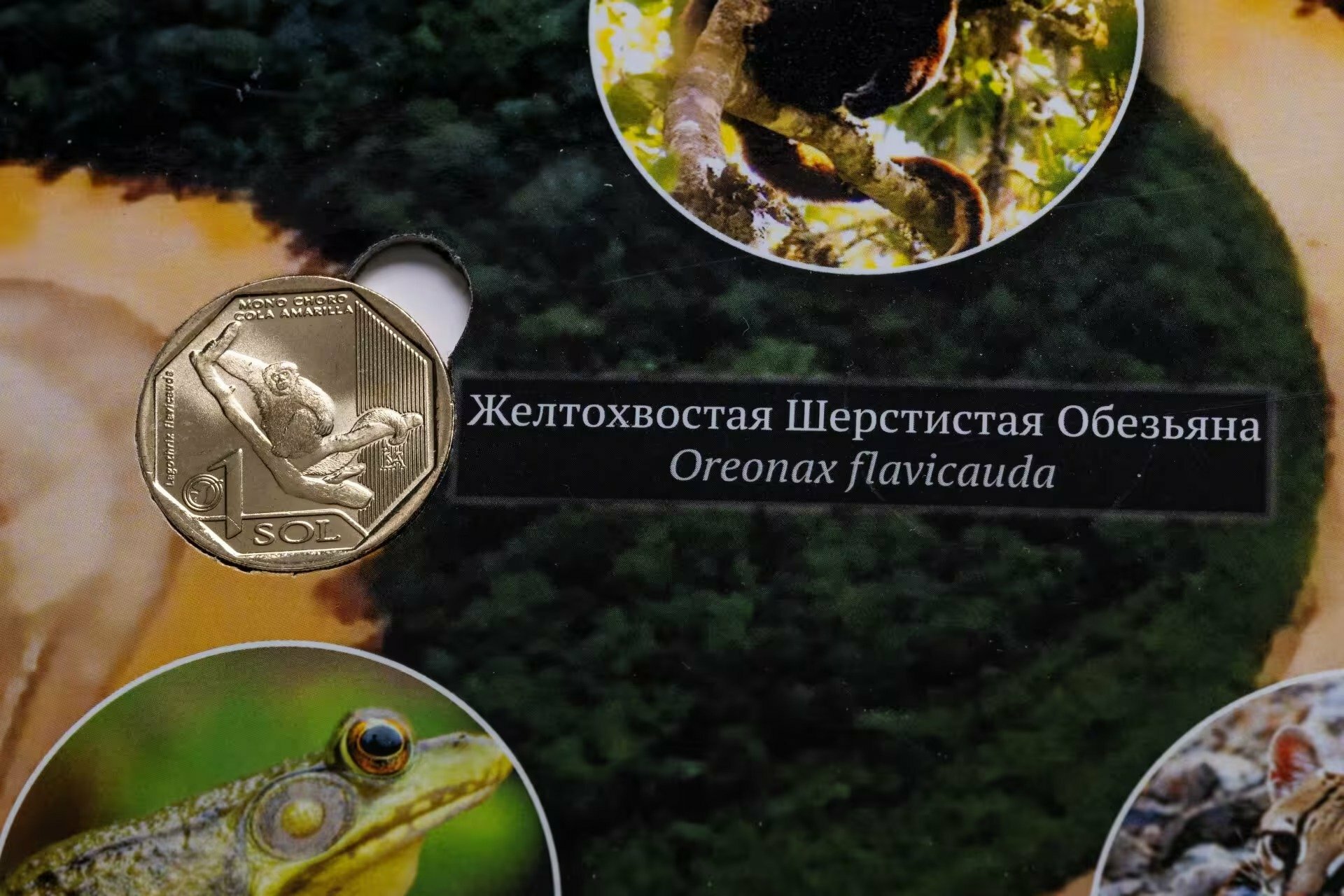 Перу, комплект 10-ти монет 1 соль 2017-2019 серии "Фауна Перу Красная книга" в сувенирном альбоме, МНЦ медь-никель-цинк, в сохранности Proof