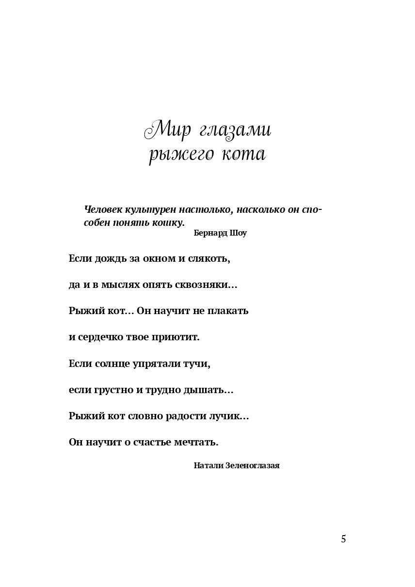 Мир глазами рыжего кота — фото 1