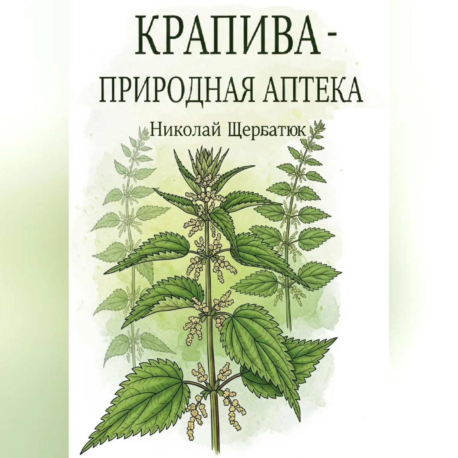 Крапива – природная аптека [Аудиокнига]