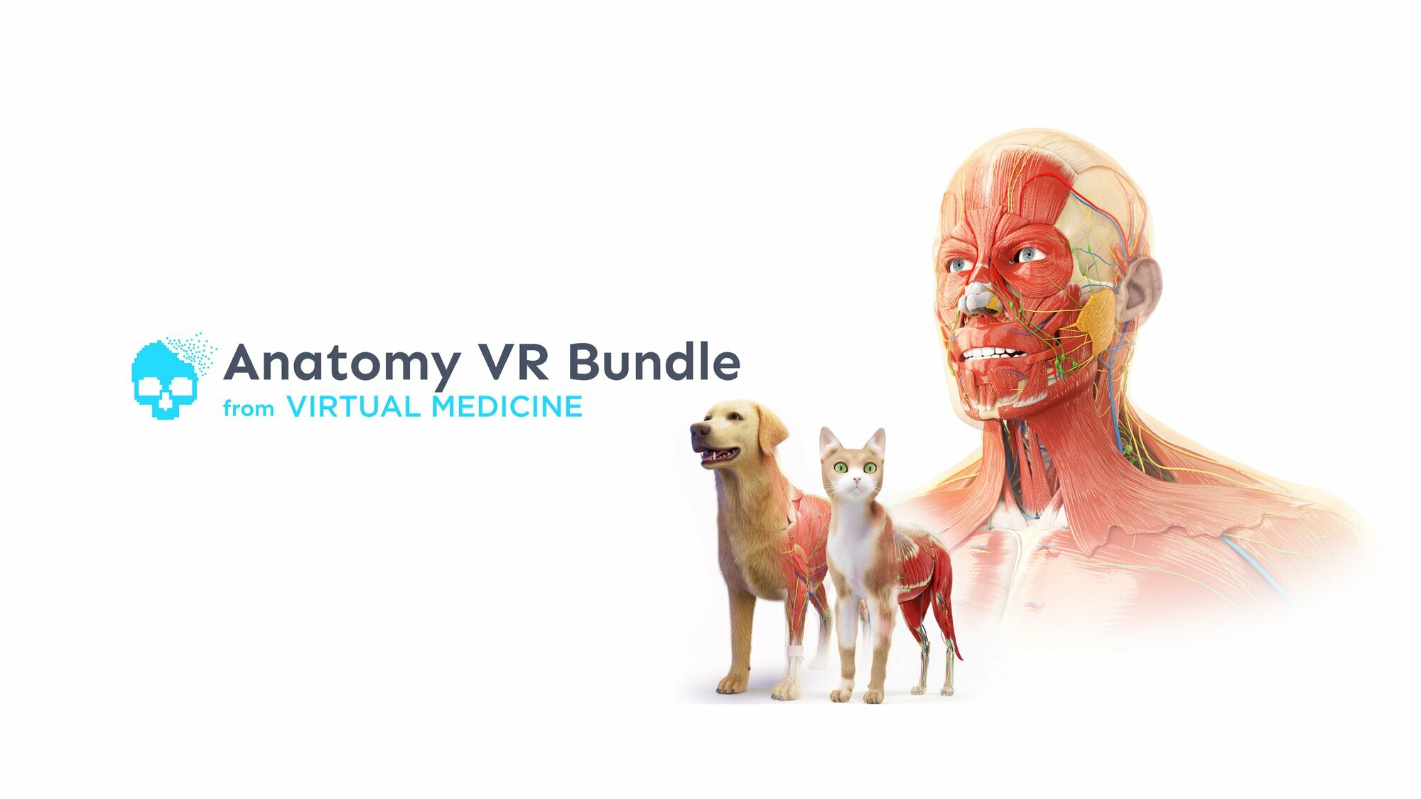 Игра Human Anatomy VR Human + Animal VR Bundle, цифровое издание PlayStation 4, регион Турция / код пополнения баланса