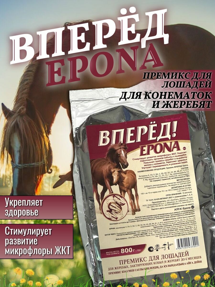 Премикс для лошадей "Вперёд! Epona" 0.8кг для жеребых и лактирующих кобыл, жеребят