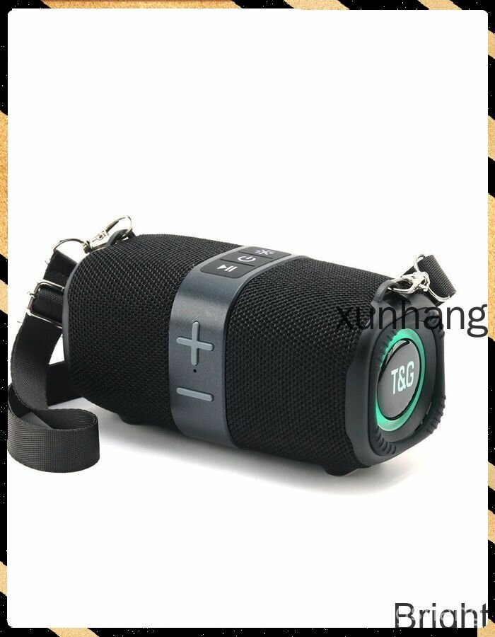 Портативная Bluetooth колонка T&G TG667 (черная)-dingshang