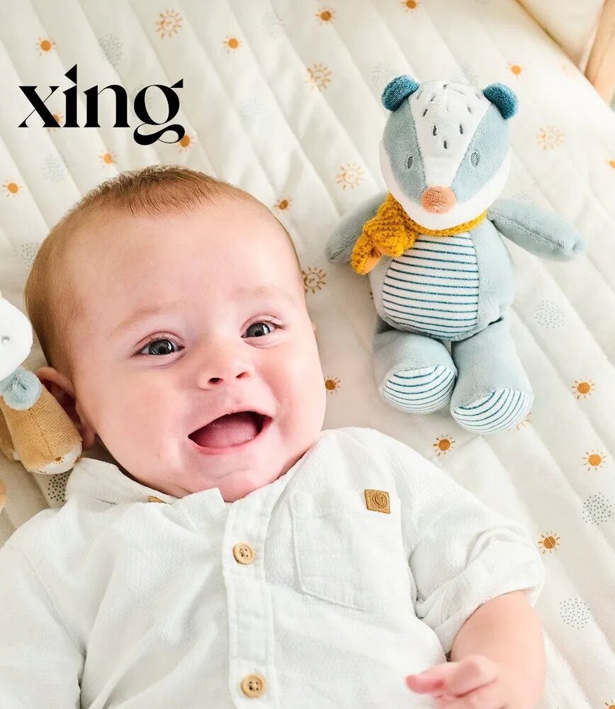 Игрушка мягкая Nattou Rattle MINI FELIX & LEO Барсук 595025 высота игрушки 21 см