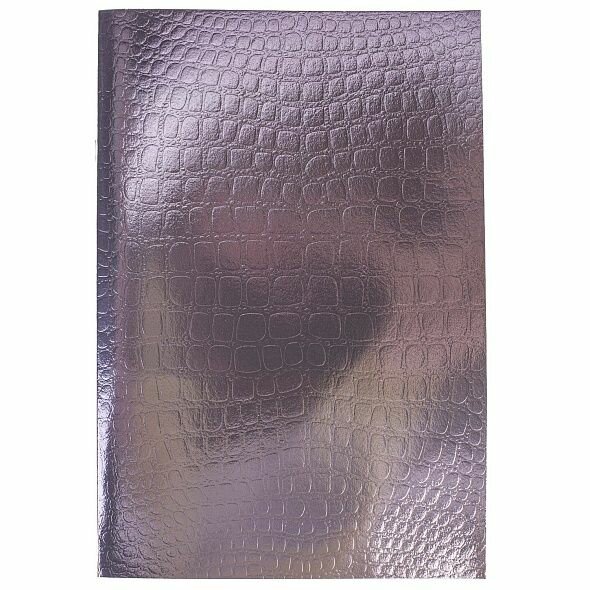 2 тетради А4 96л. кл. "Metallic" CROCO коричневый, бумвинил Hatber 96Т4бвВ3