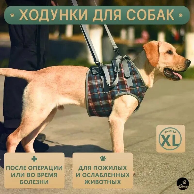 Ходунки для собак передние для пожилых и ослабленных животных размер XL
