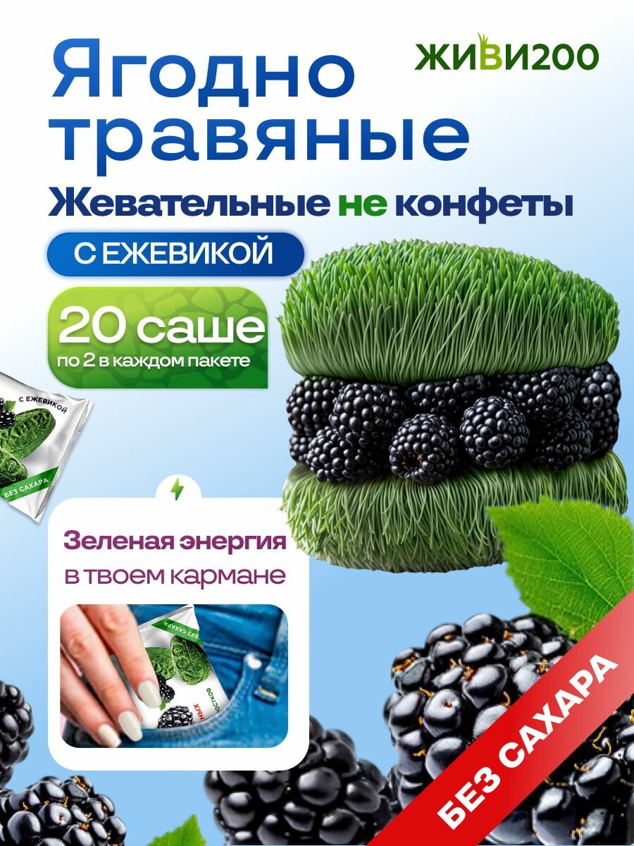 Ягодно травяные жевательные НЕ конфеты с ежевикой 20 шт.