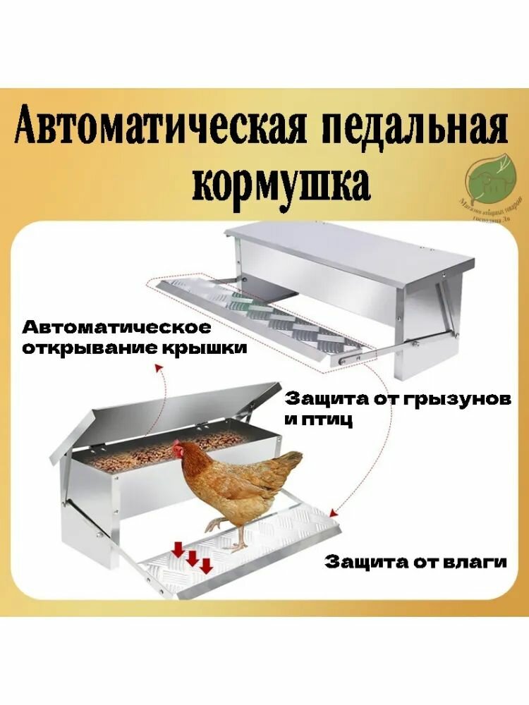 Автокормушка для кур, уток и гусей нержавеющая сталь, педальная с защитой от грызунов