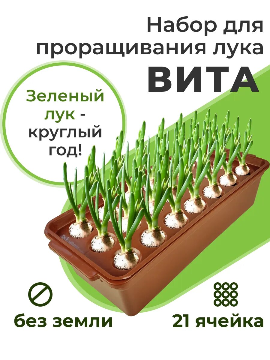 Лоток для выращивания лука с 21 ячейкой