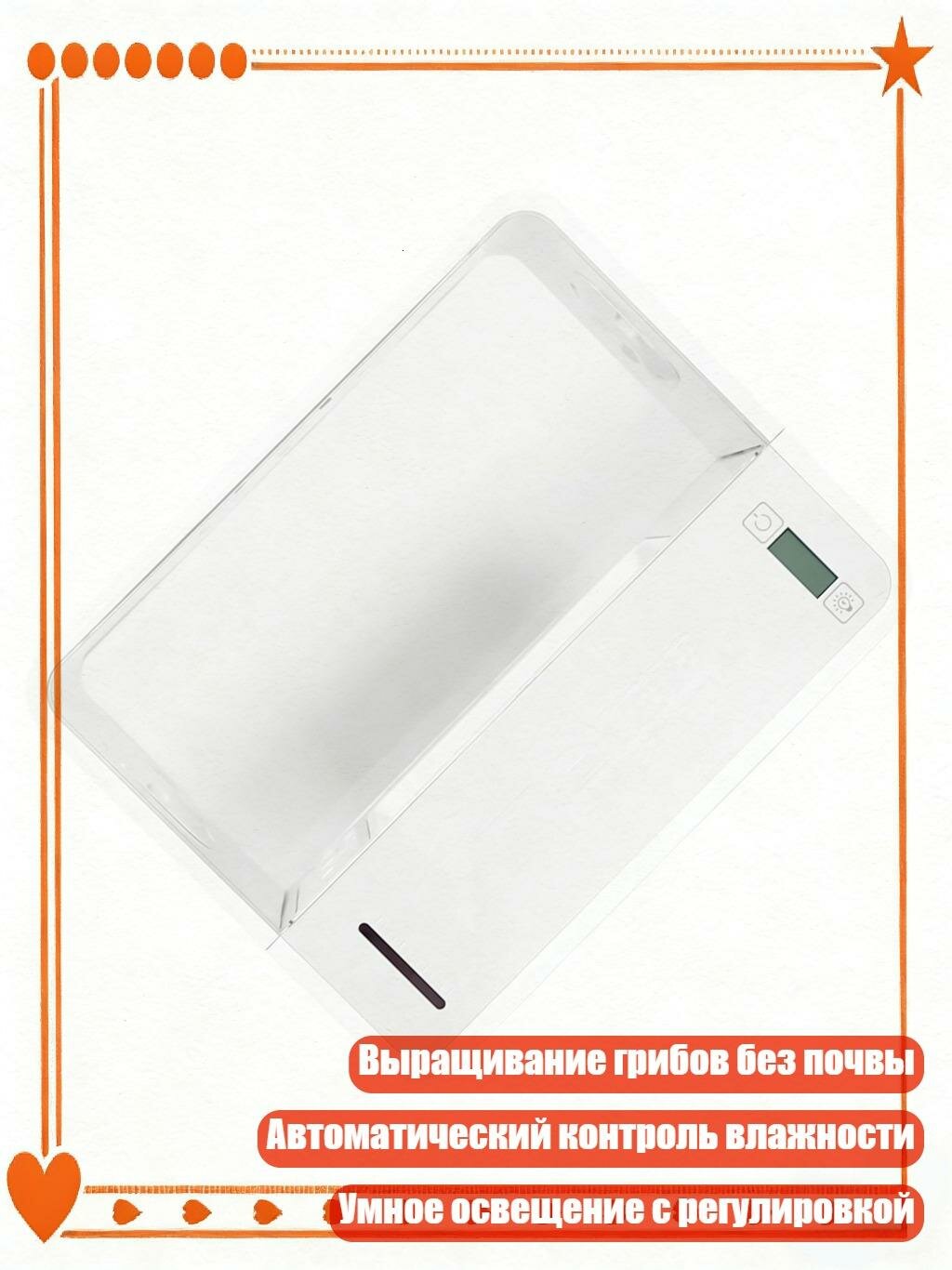 Набор для выращивания грибов