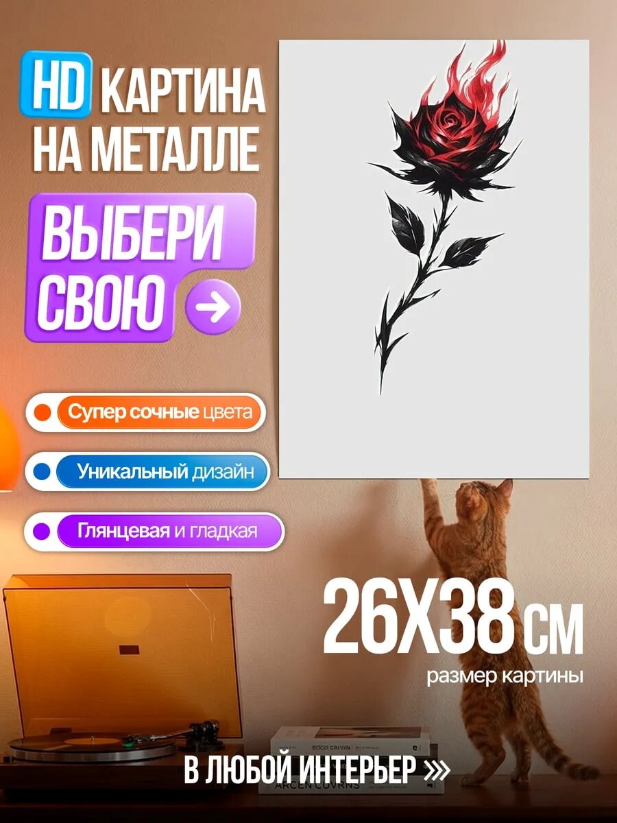 Картина на HD металле Горящая черная роза