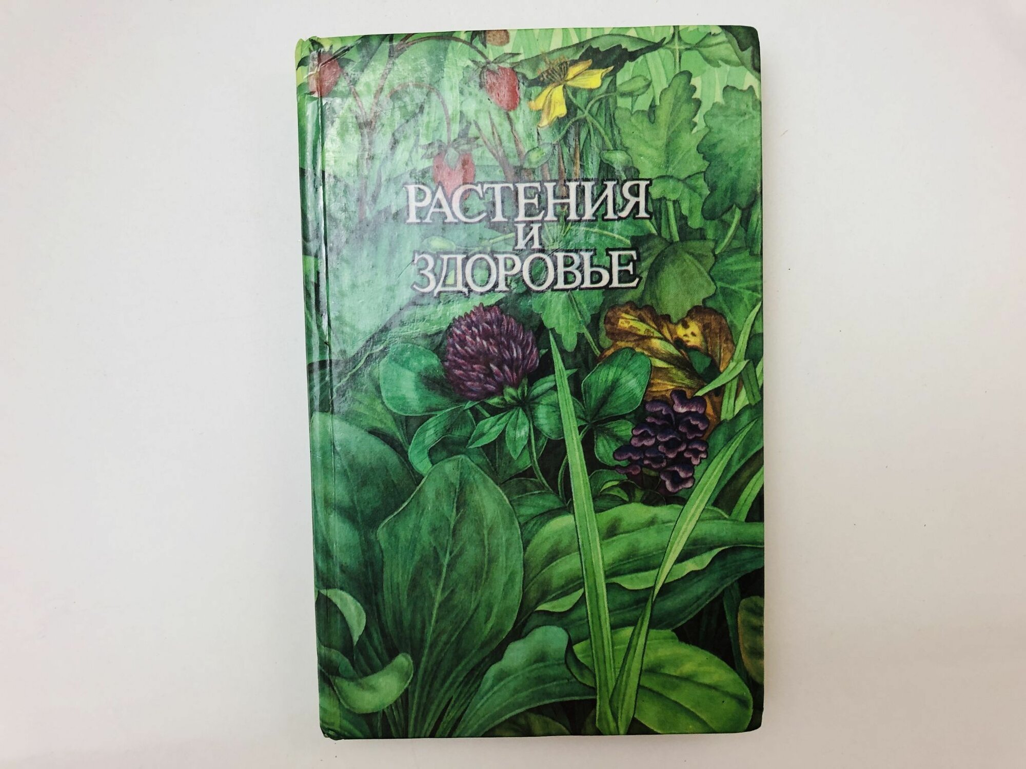 Растения и здоровье. 2000 рецептов и советов народной медицины