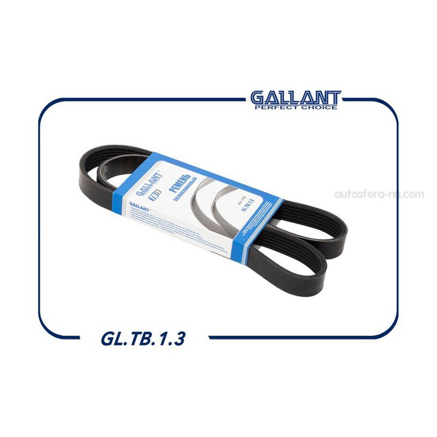 GALLANT GLTB13 Ремень поликлиновой