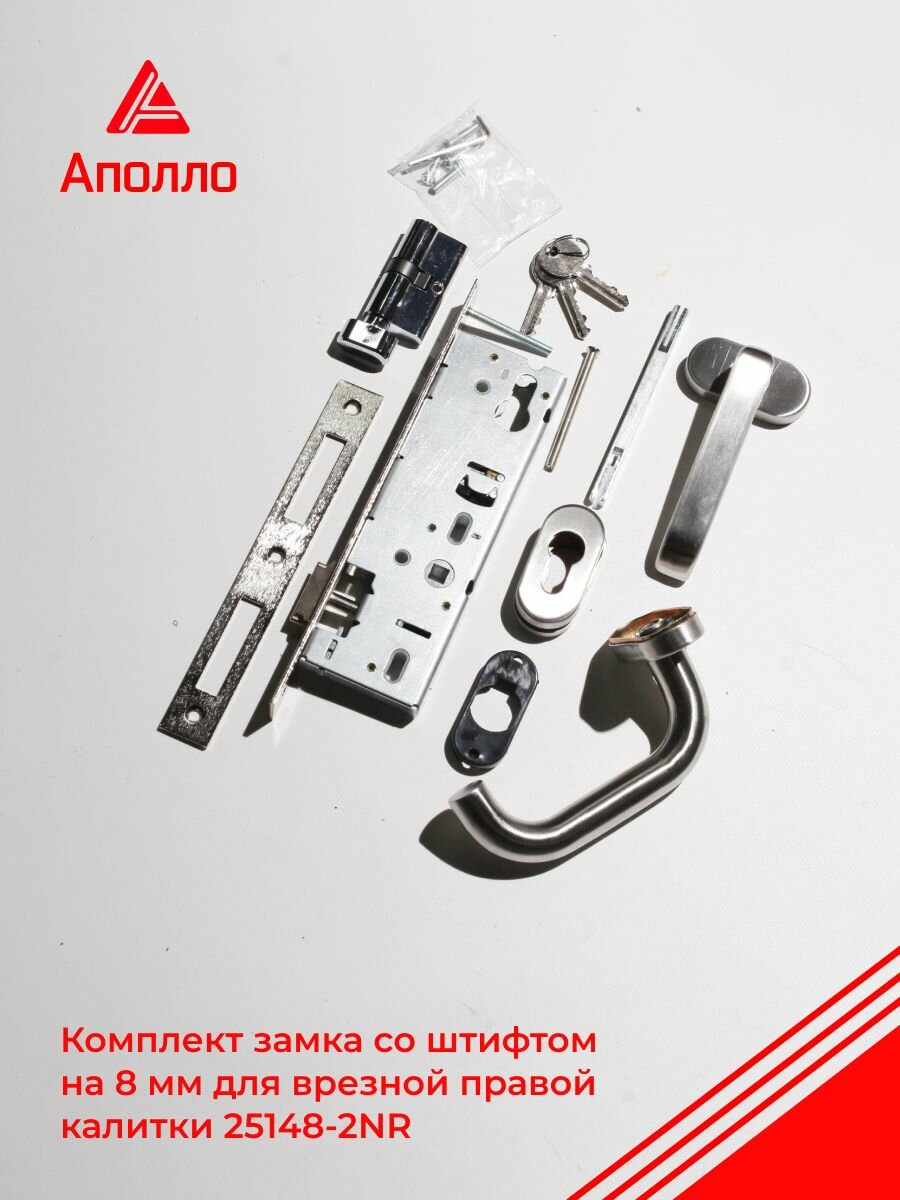 Комплект замка со штифтом на 8 мм для врезной правой калитки секционных ворот DoorHan 25148-2NR