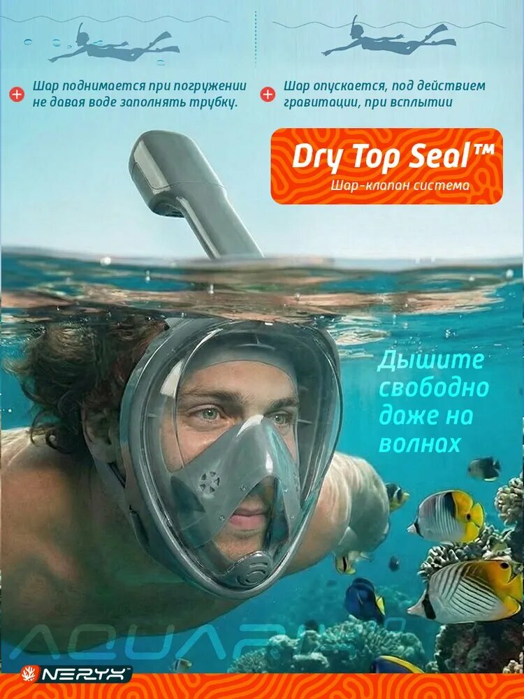 Маска для плавания AQUARIX NERYX, Технологичная, Серый, S/M — фото 1