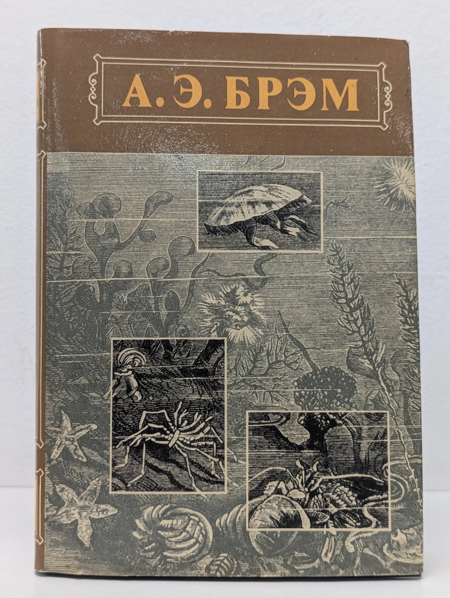 Жизнь животных. Том 3. Пресмыкающиеся. Земноводные. Рыбы. Беспозвоночные Брэм Альфред Эдмунд 1992