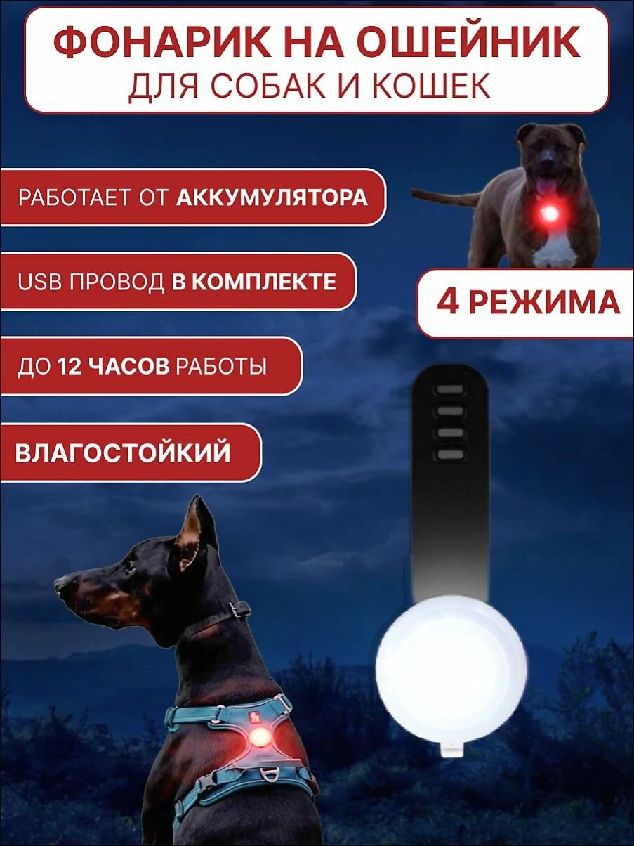 Перезаряжаемый питомец night anti-lost dog walking light привел светящийся кулон для собак
